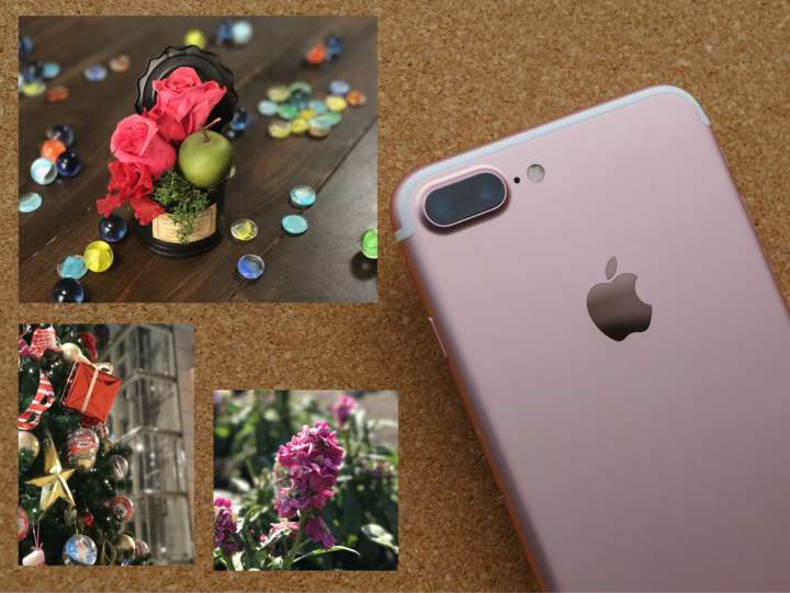 誰でもプロっぽく撮れる！ iPhone 7 Plusの「ポートレート」モードが楽しい | ＆GP - Part 2